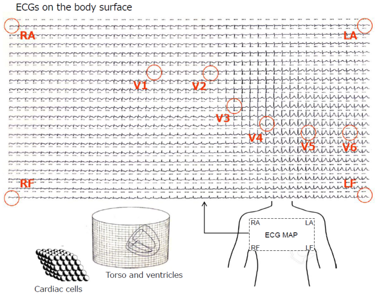 ECG_Sim – Health-Science-Technologies